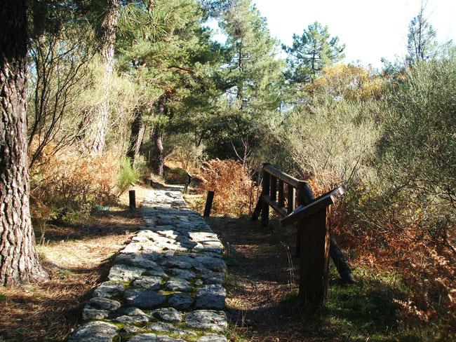 El Arboreto nos enseña a reconocer el canto de las aves del Guadarrama